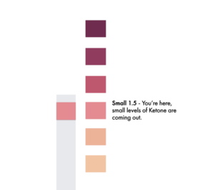 Keto Testing Strips (Guide) | Keto Lean